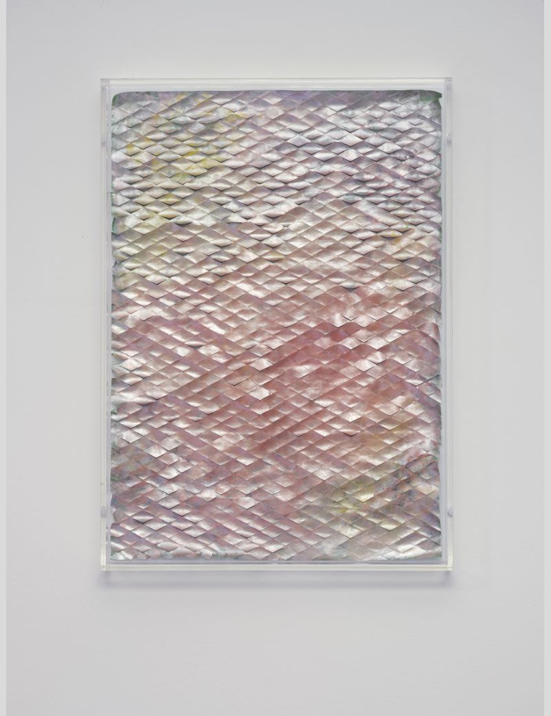 »Healer Scrolls«, Pamela Rosenkranz, 2022 | Robert Walser Zentrum