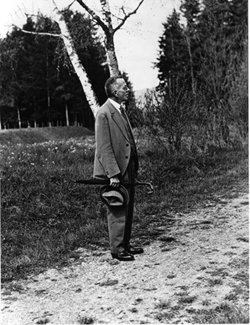 Robert Walser. I Microgrammi.